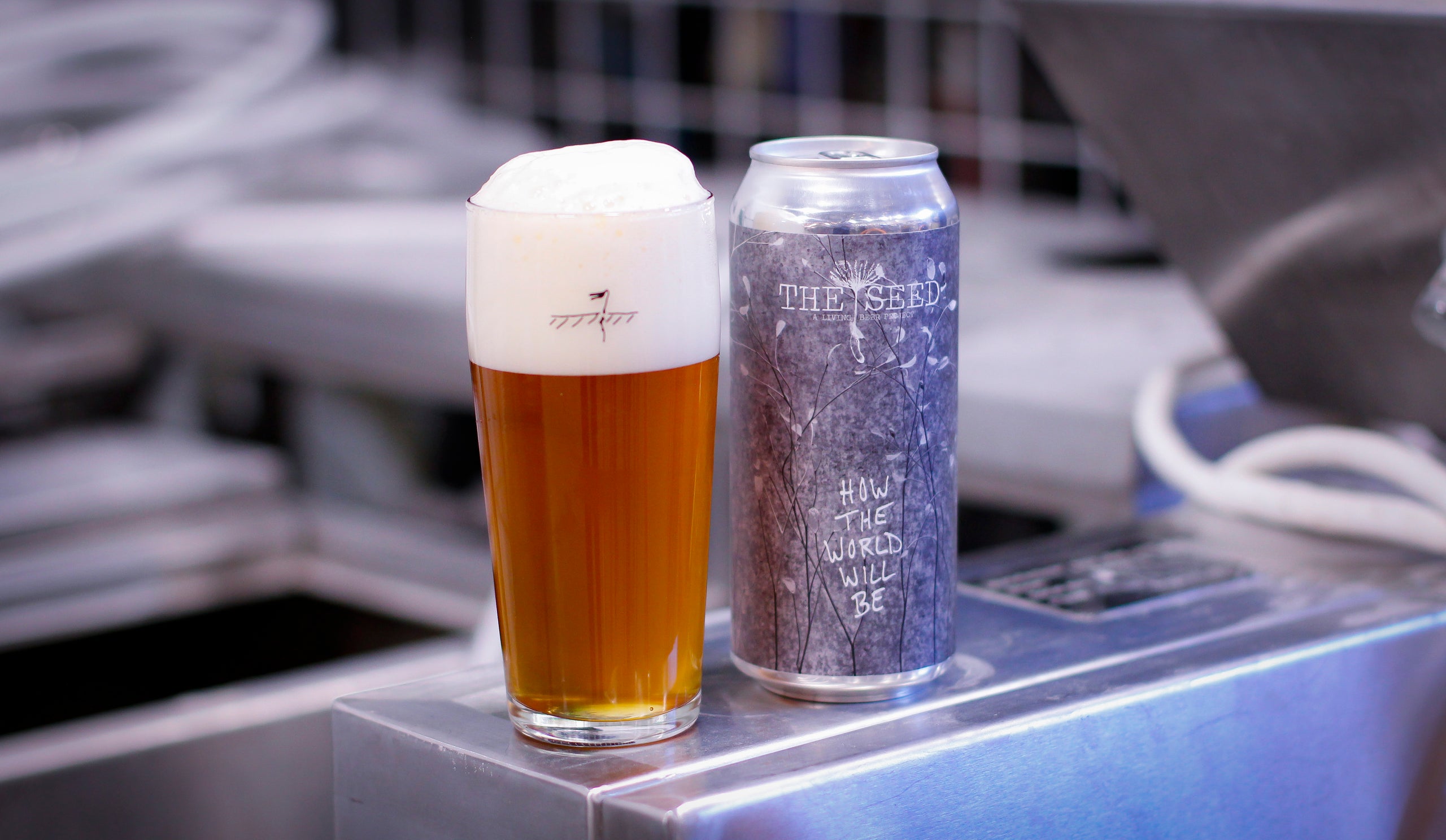 Packaged Beer | The Seed: A Living Beer Project