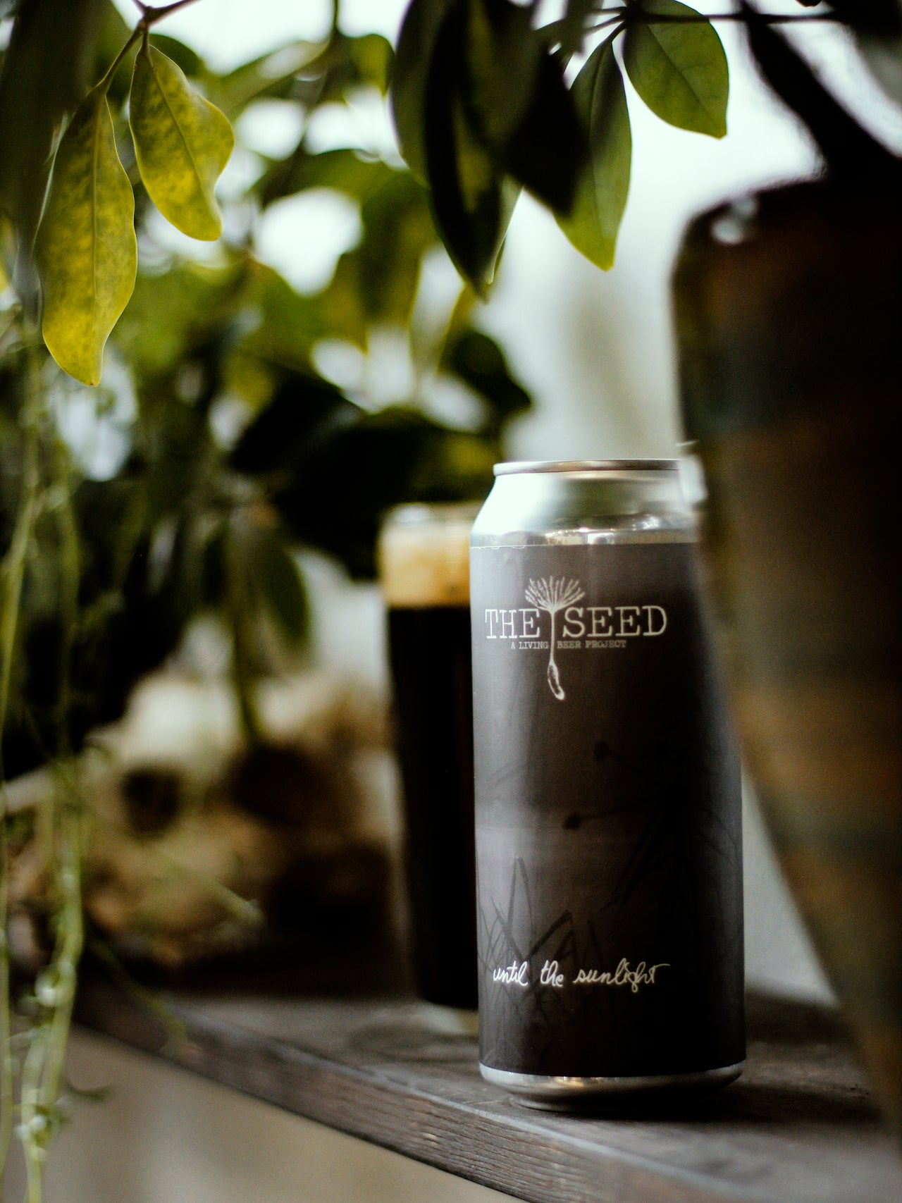 Packaged Beer | The Seed: A Living Beer Project