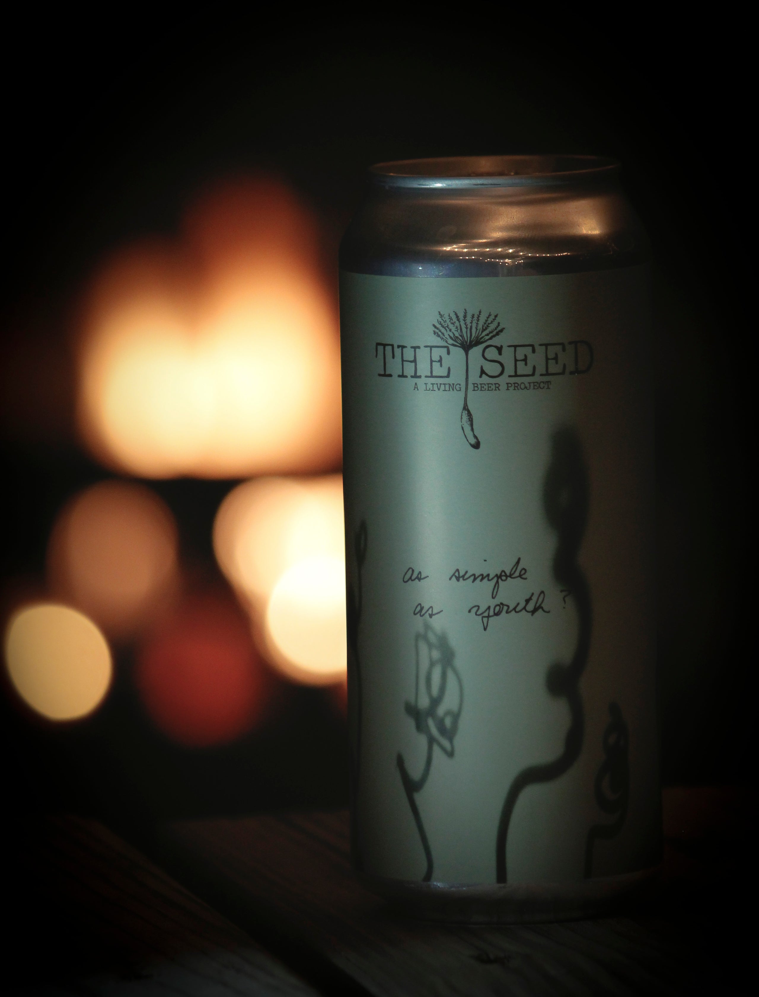 Packaged Beer | The Seed: A Living Beer Project
